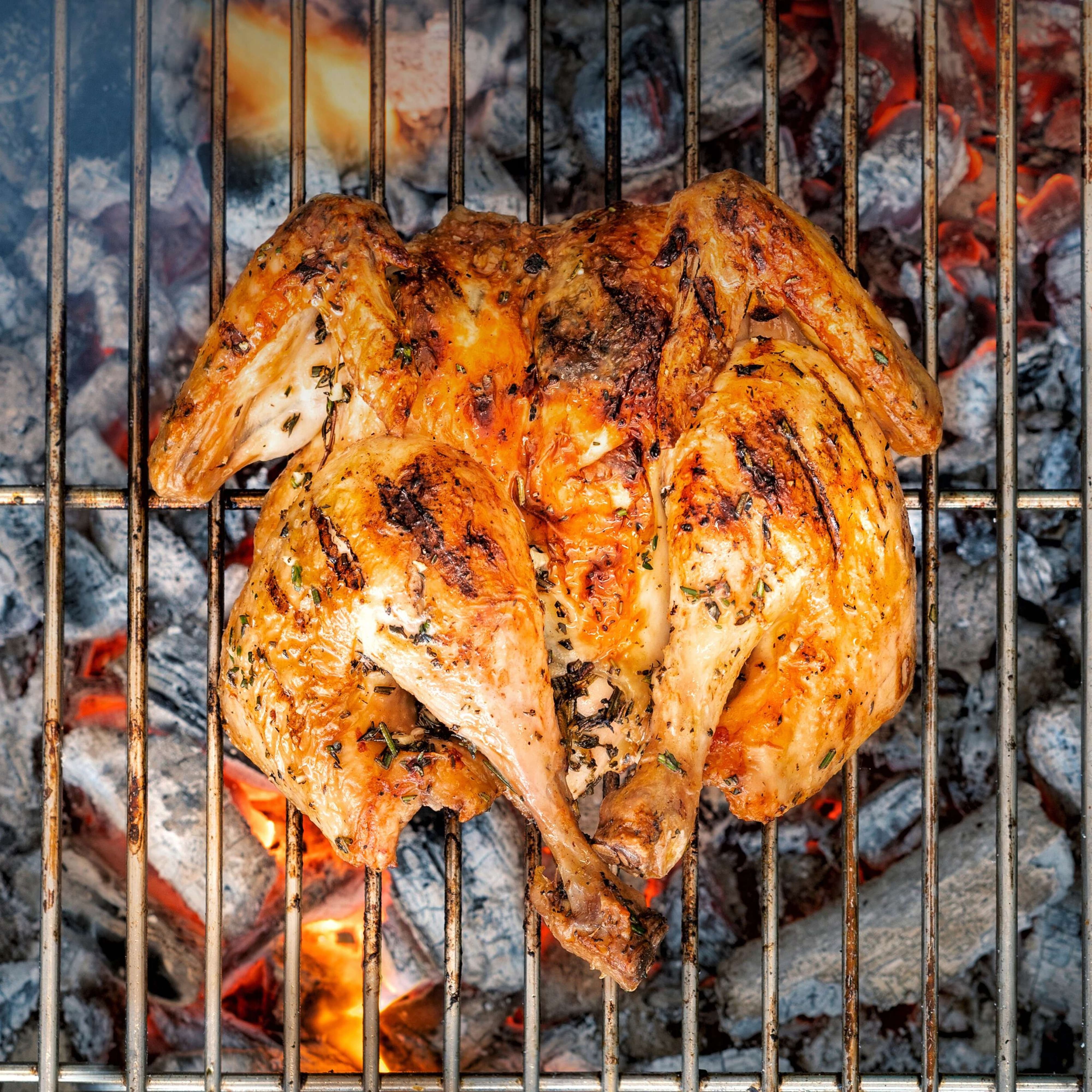 Grill-Poulet mit Thymian, Zitrone und Kreuzkümmel | Rezept